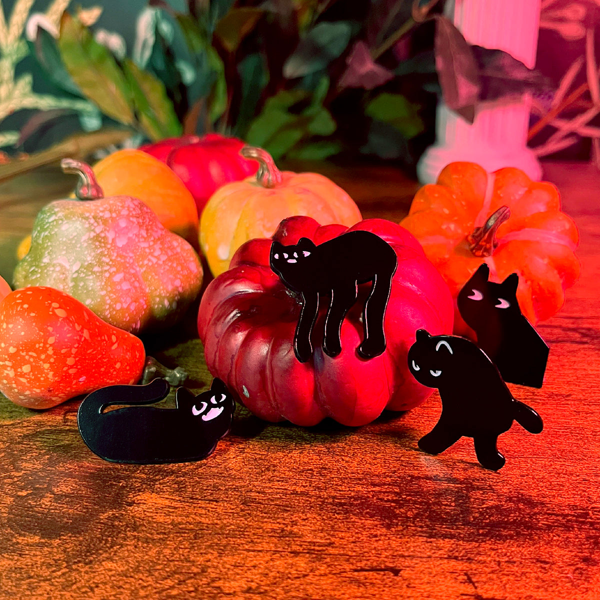 Void Cat Enamel Pins – Bandage Brigade